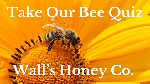 How well do you know bees? Take our quiz to find out! – Wall’s Honey Co.